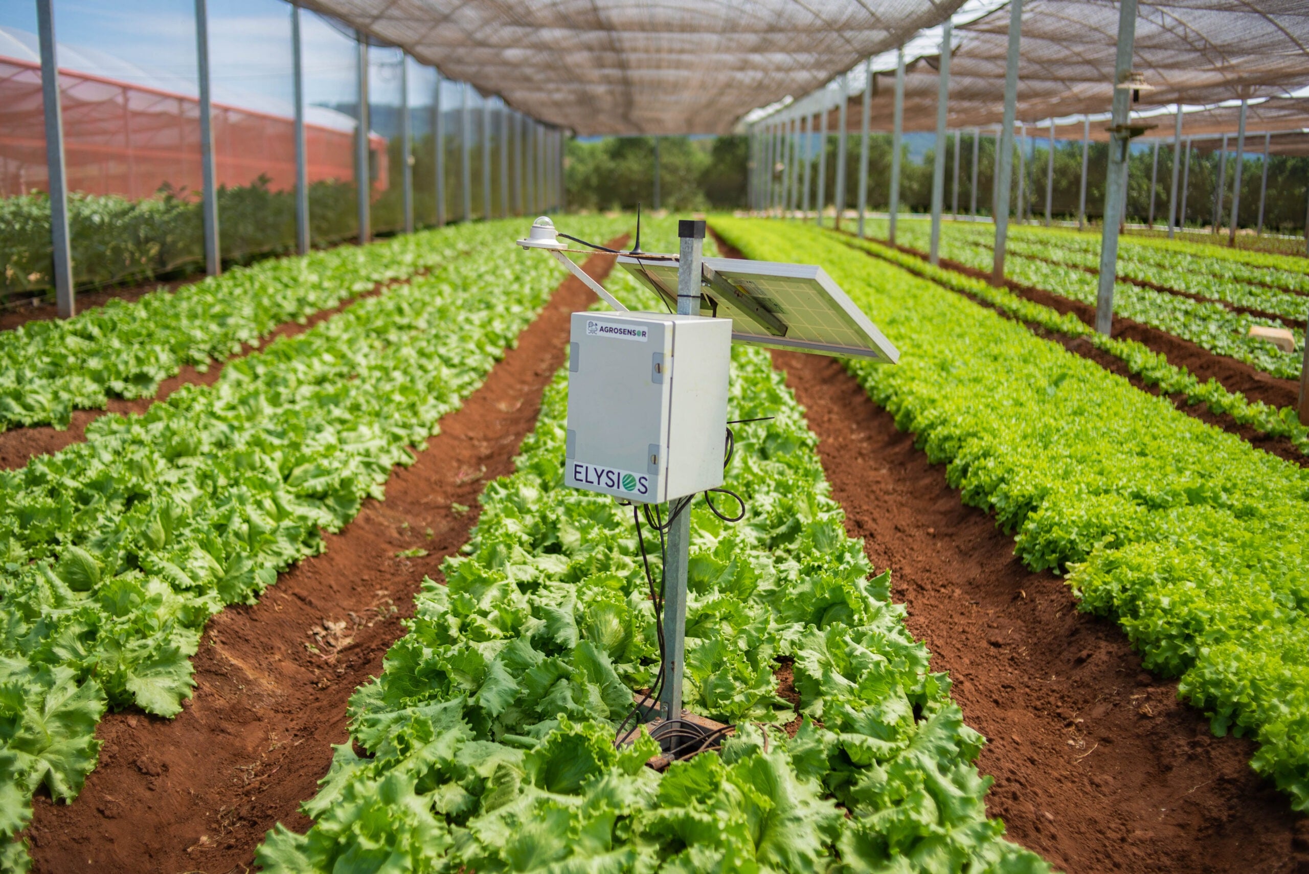 11 dicas para manutenção de uma estação meteorológica - elysios