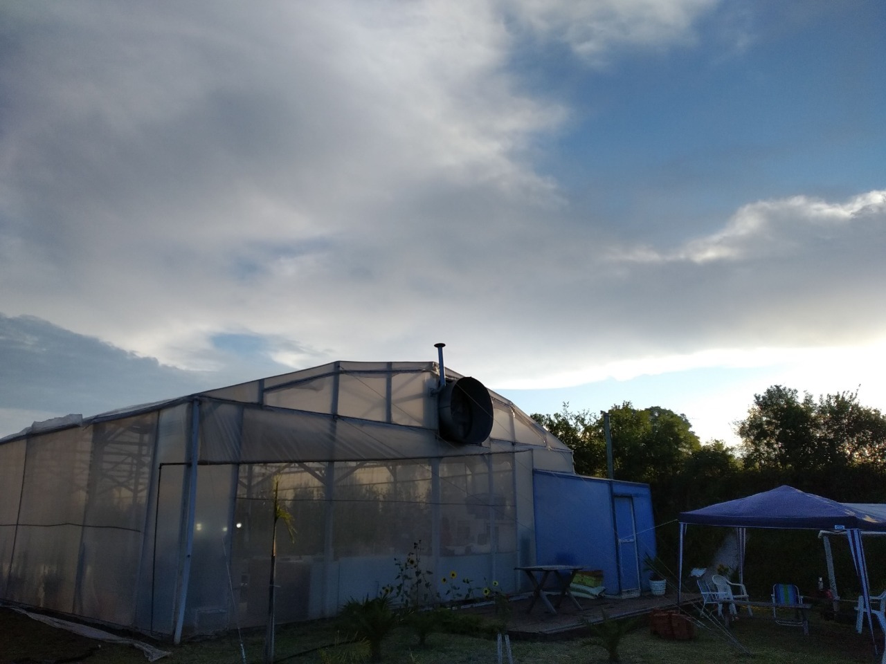 Elysios realiza o seu primeiro dia de campo! - elysios