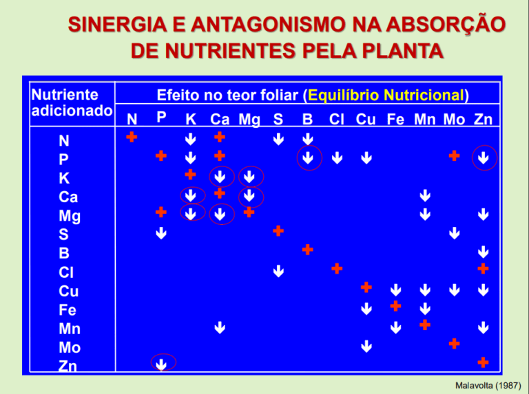 7 problemas do excesso na fertilização de cultivos - elysios