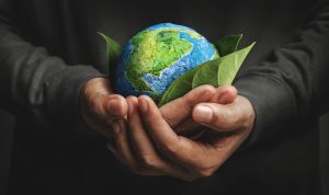 Selo verde empresas: Entenda o que é e como funciona!